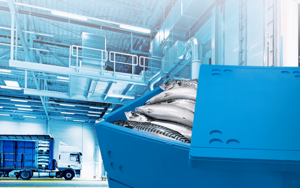 Transportation of Fresh Fish to All of Europe - Schoeller Plast
